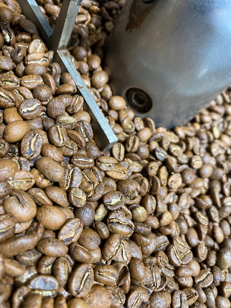 Sunny Coffee - Wholesale Coffee Specialists